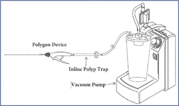 Device Setup — Polygon