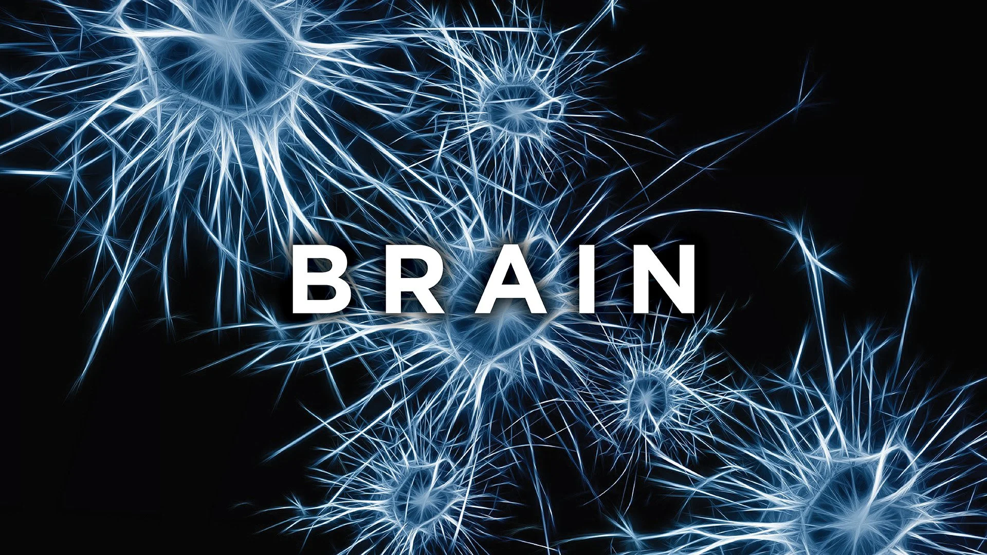 Brain — Genesis Brain Center