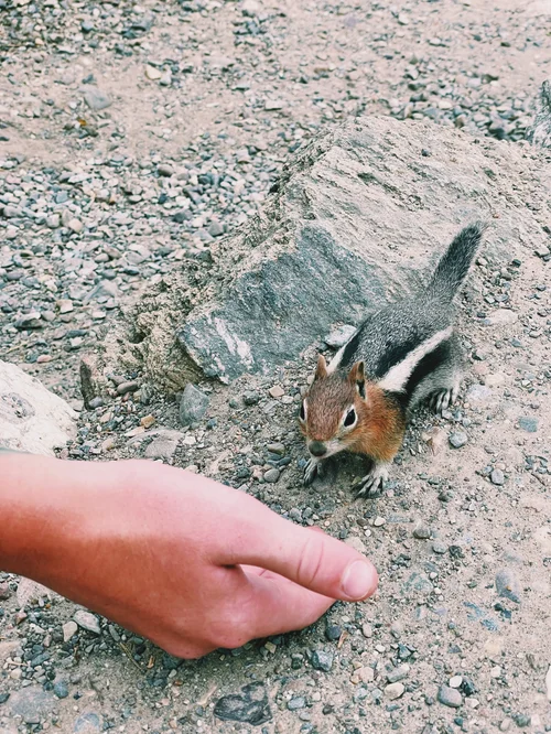 Photo Journal | Discover. Capture. Explore. — Overland Girl