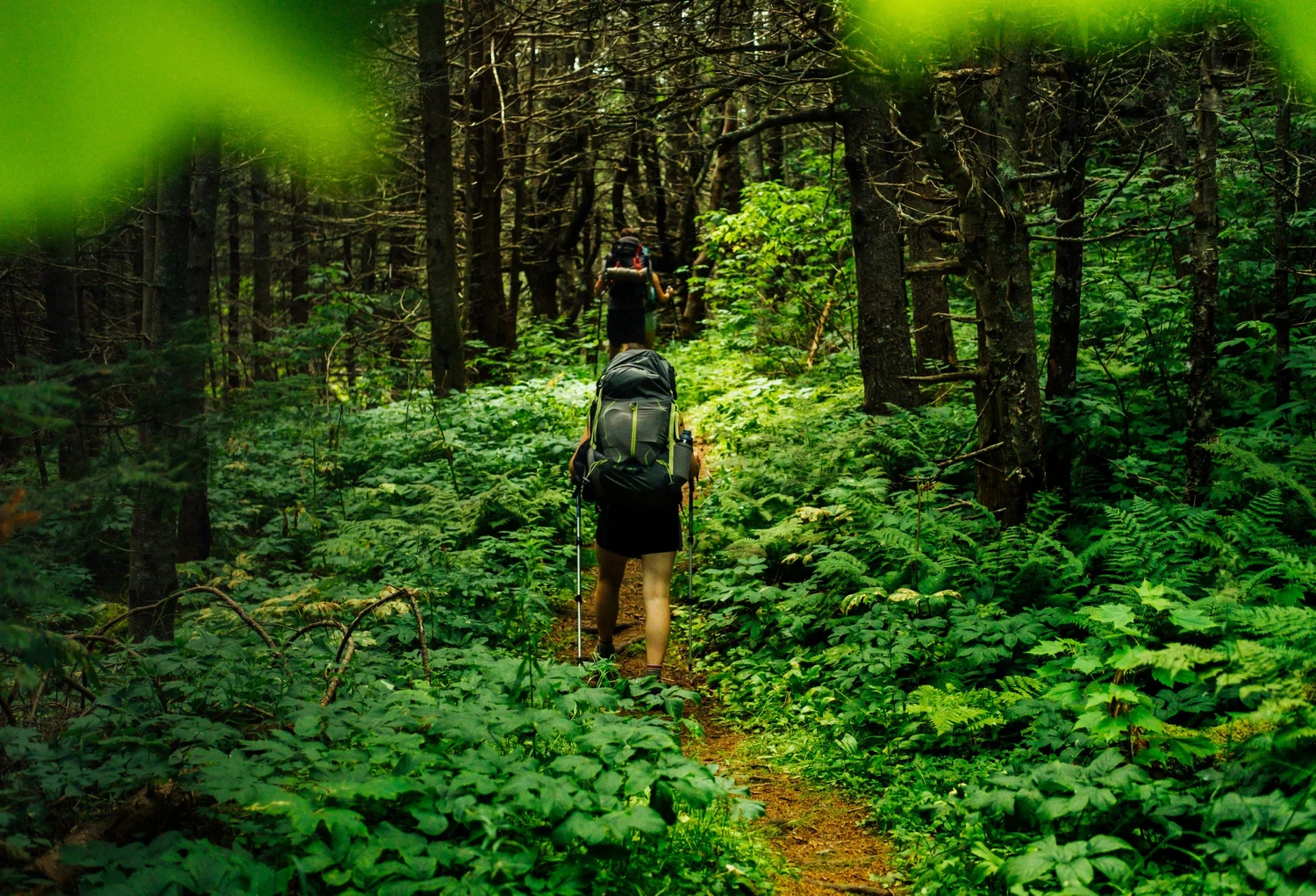 Best Spring Hiking Trails in the U.S. — Overland Girl