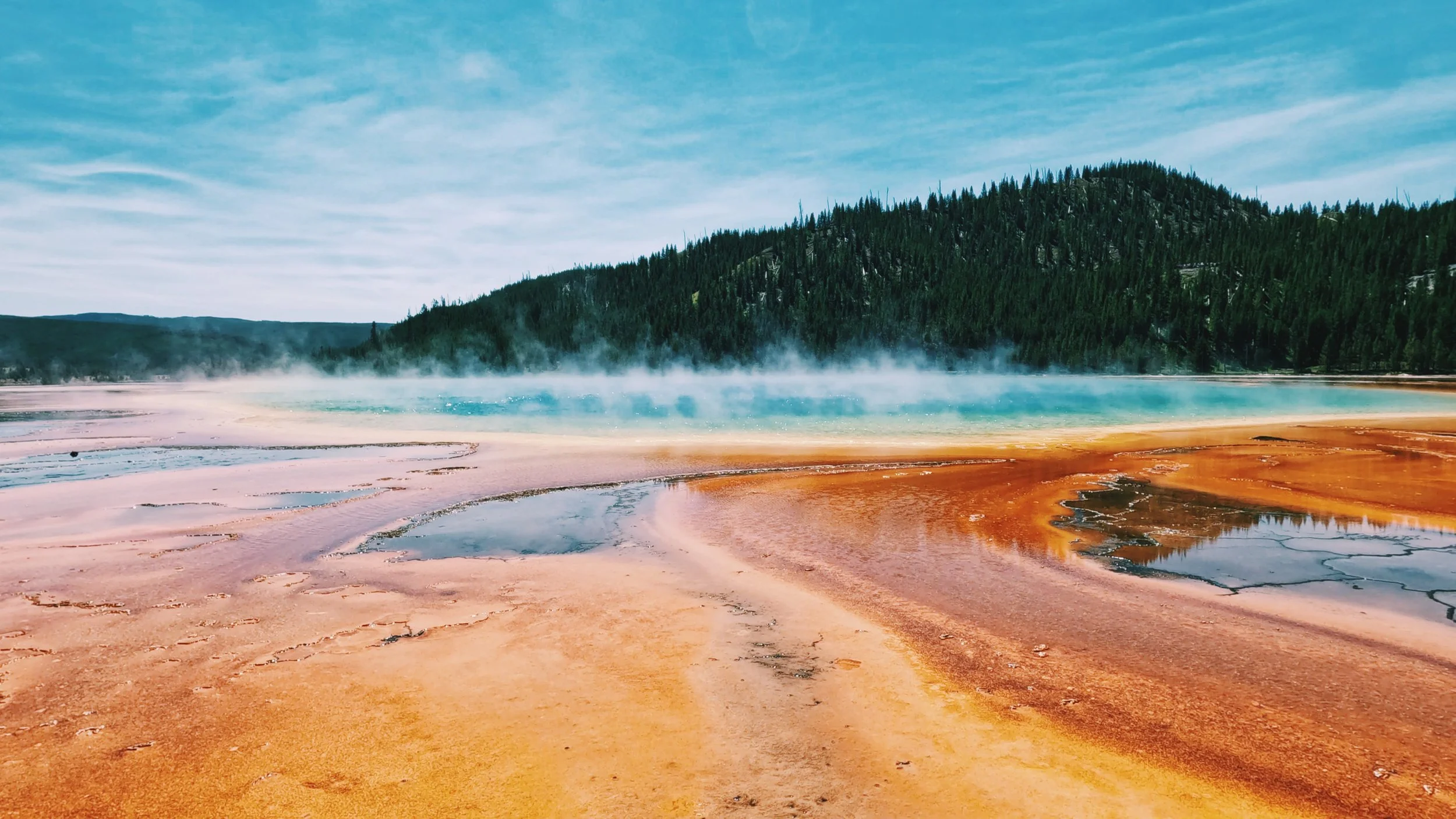 Review: Bridge Bay Campground of Yellowstone. — Overland Girl