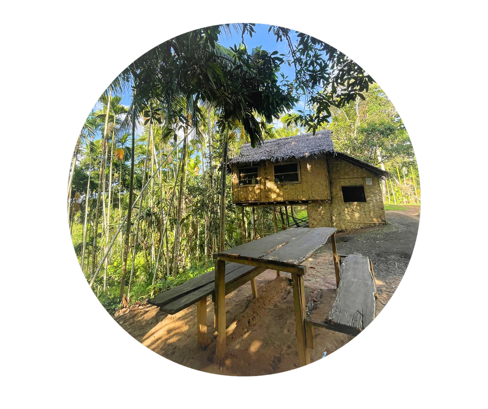 Exploring Madang: Things To Do — Madang Resort Hotel