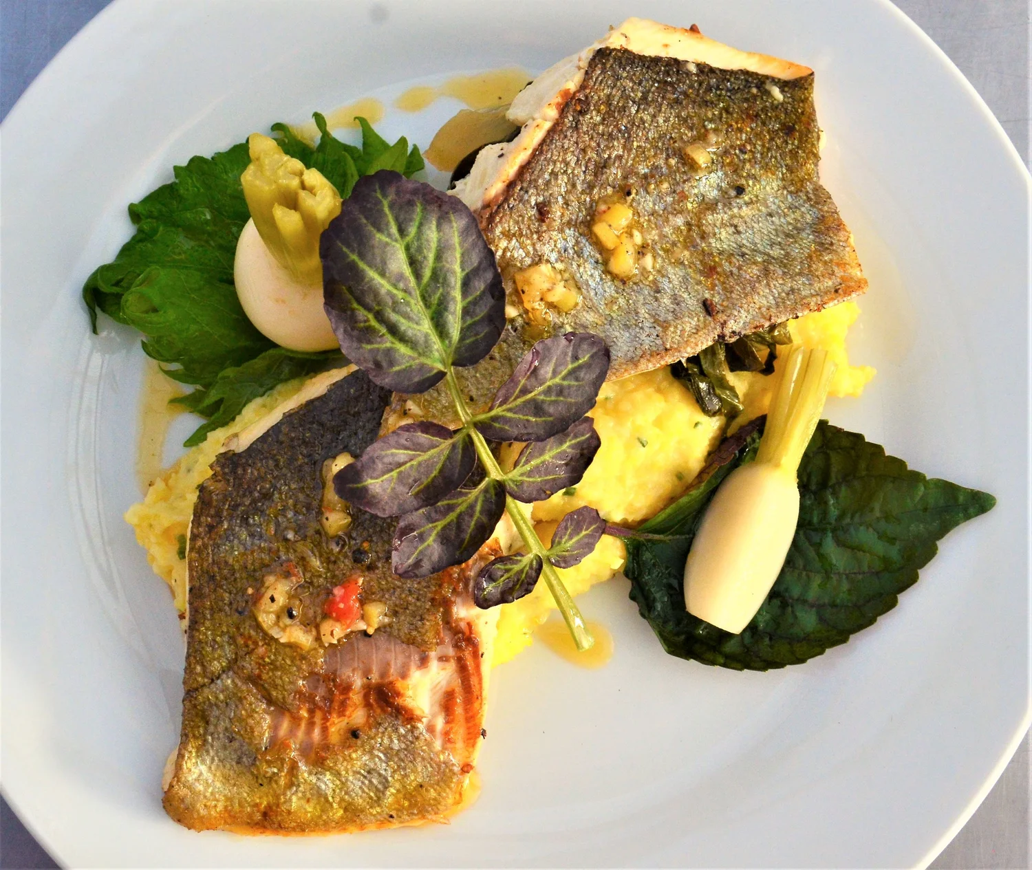 General 4 — FARM FRESH CHEF