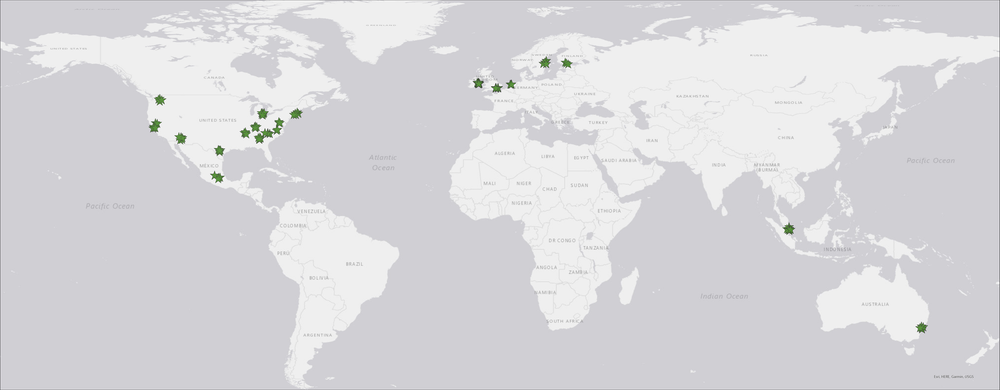 Case Studies — Ecosystem Intelligence