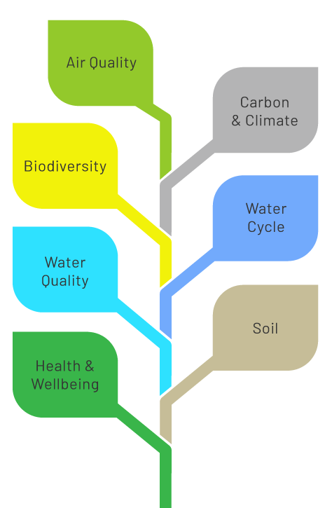 Platform Overview — Ecosystem Intelligence