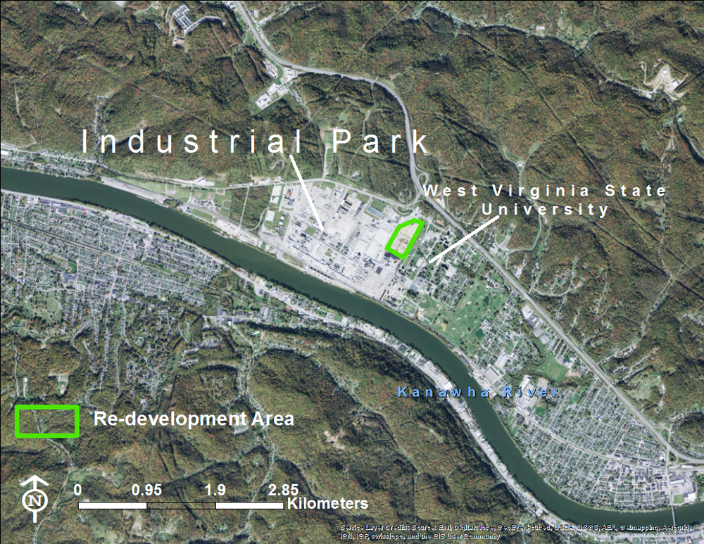 Case Studies — Ecosystem Intelligence