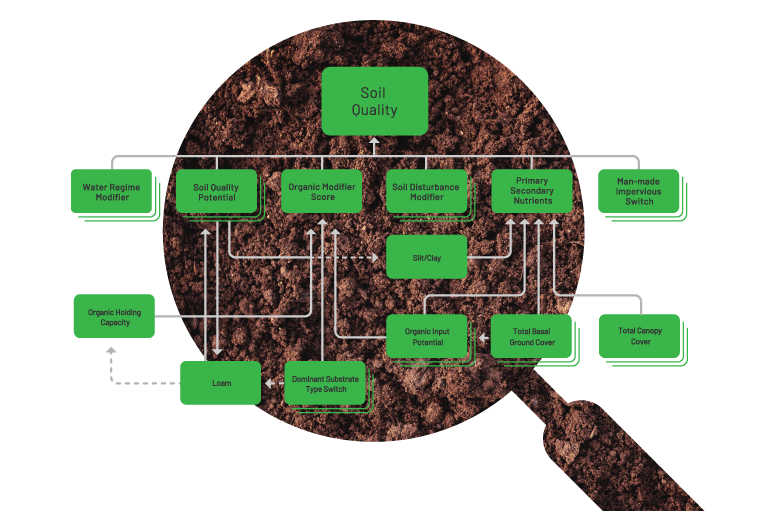 Ecosystem Intelligence