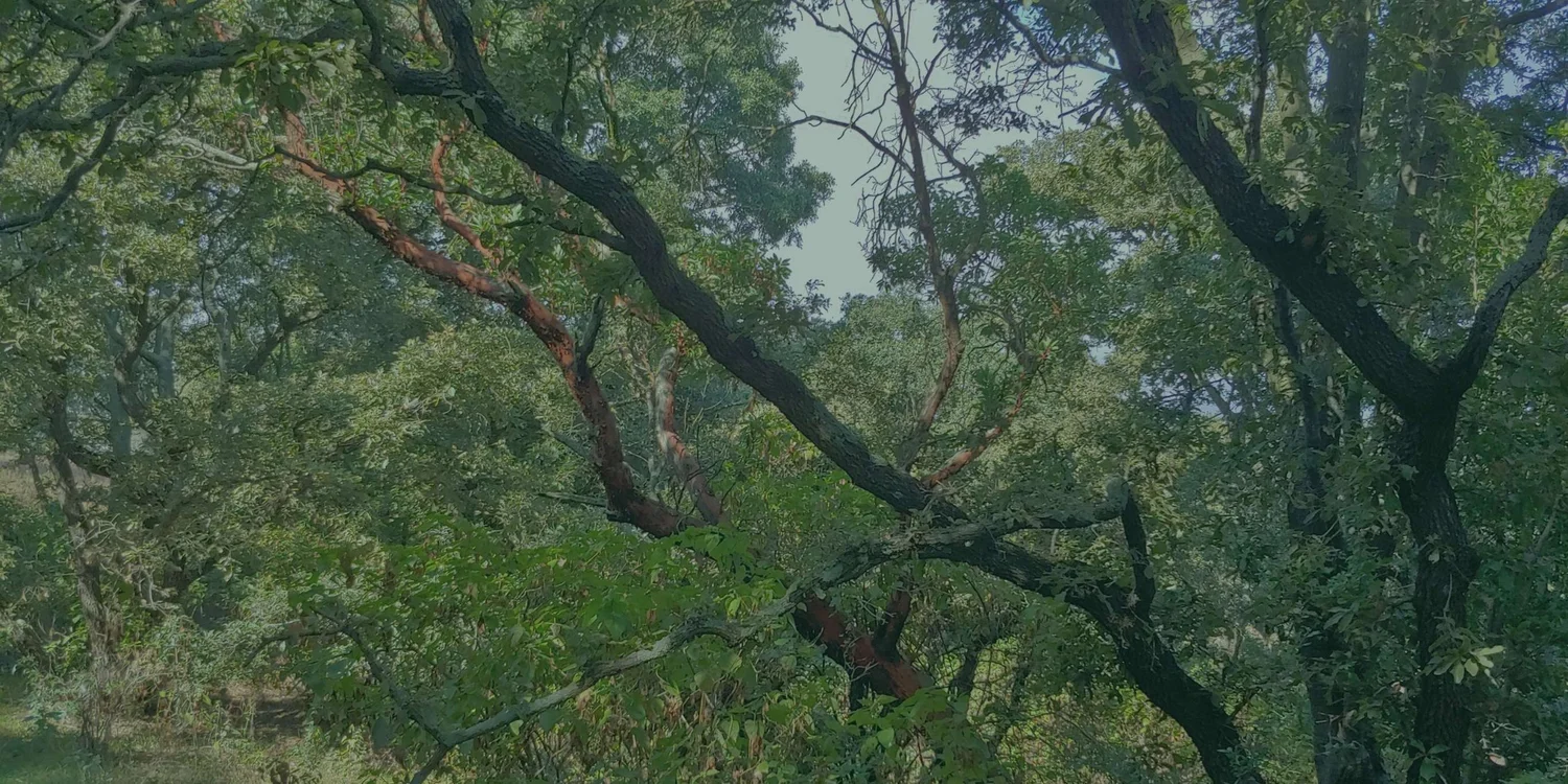 How the EI Platform Supports LEAP — Ecosystem Intelligence