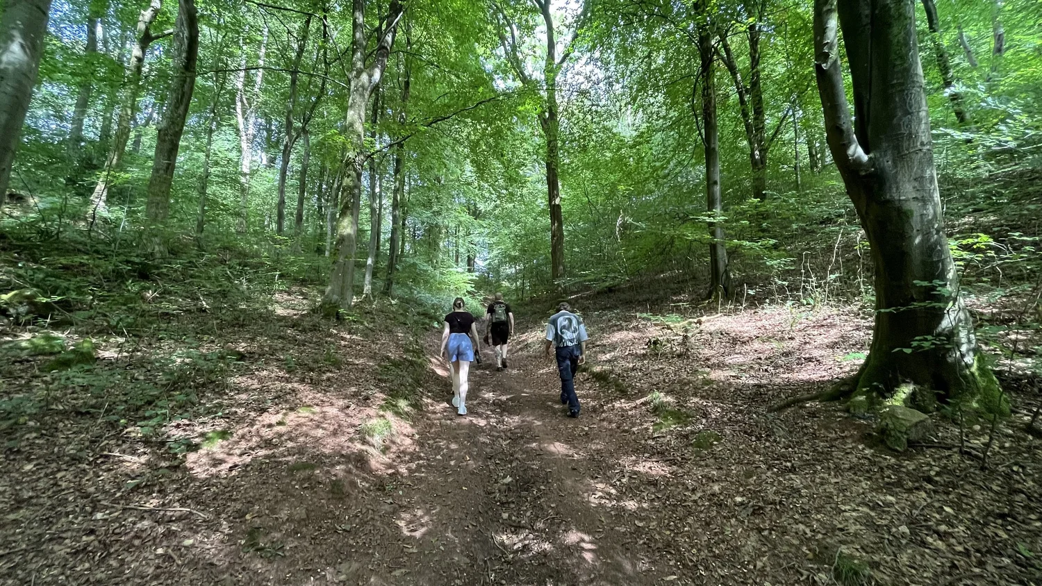 Hawkland - Sustainable Design and Build