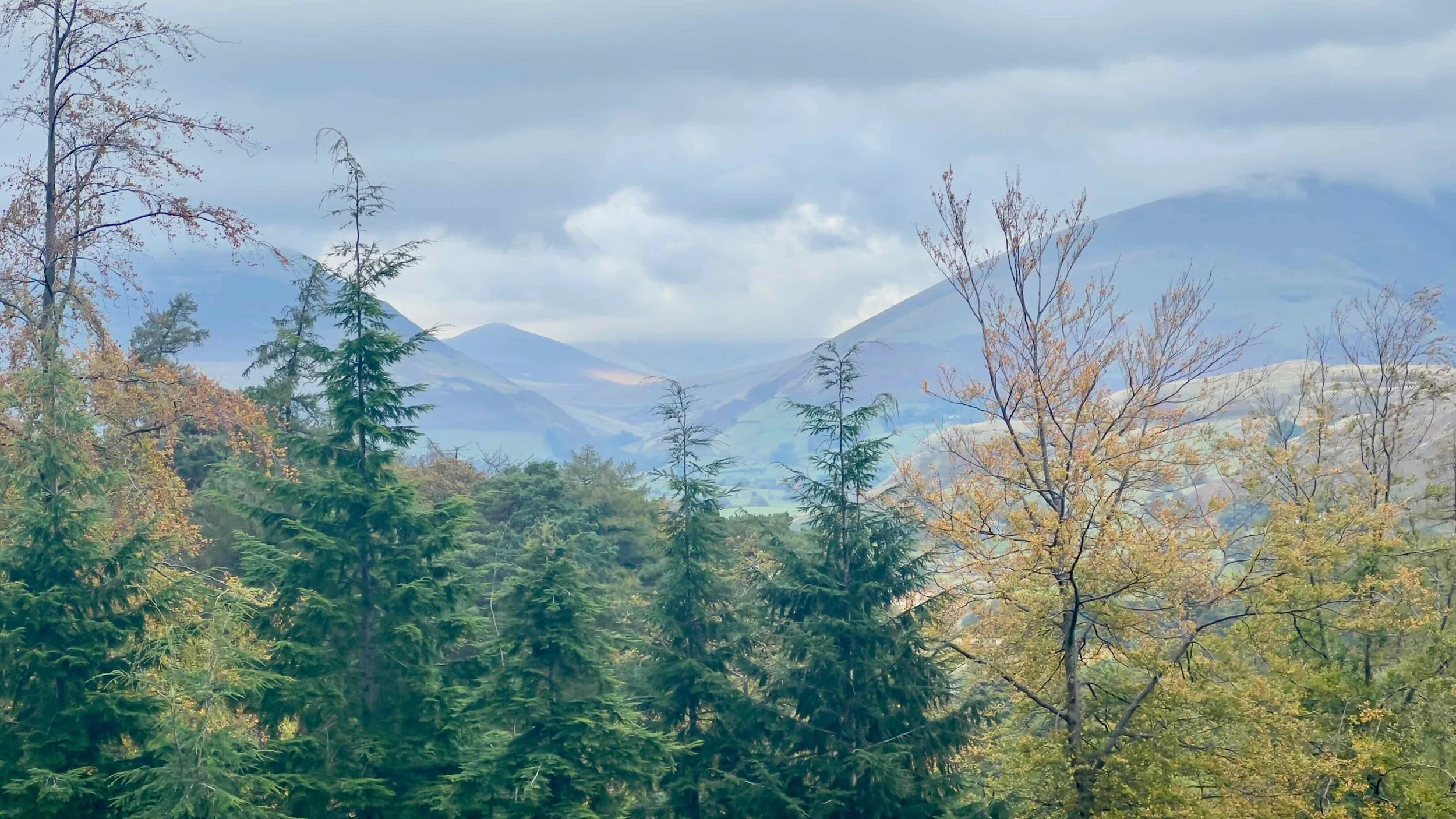 Raven Crag Guide - Lake District Walks