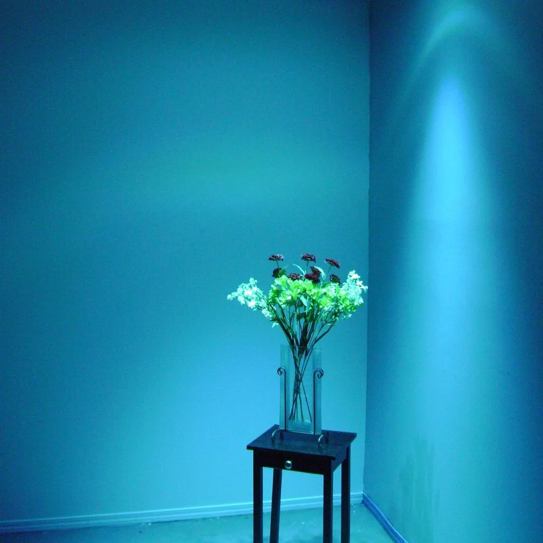 CCT Selectable Swivel Pot Lights — Zortech LED