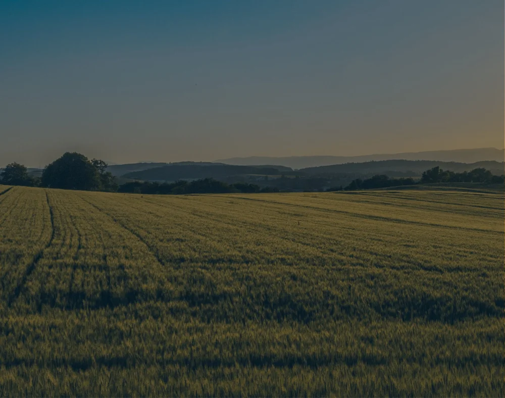 Login — Dayspring Bank