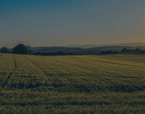 Login — Dayspring Bank