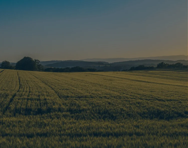 Login — Dayspring Bank