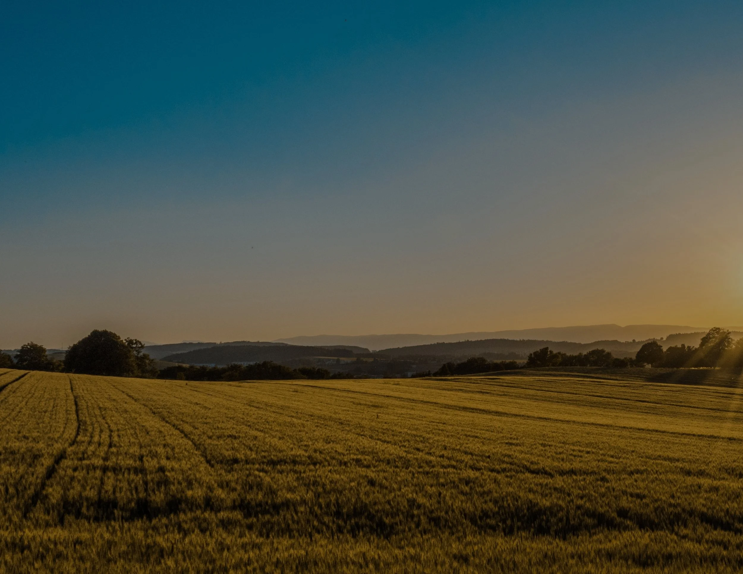 Business Online Banking — Dayspring Bank