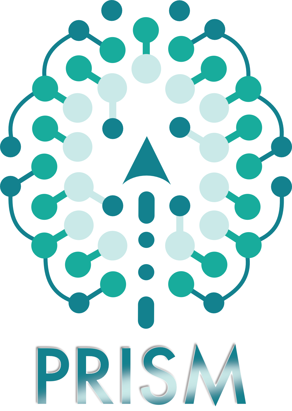 Precision Recovery Inc