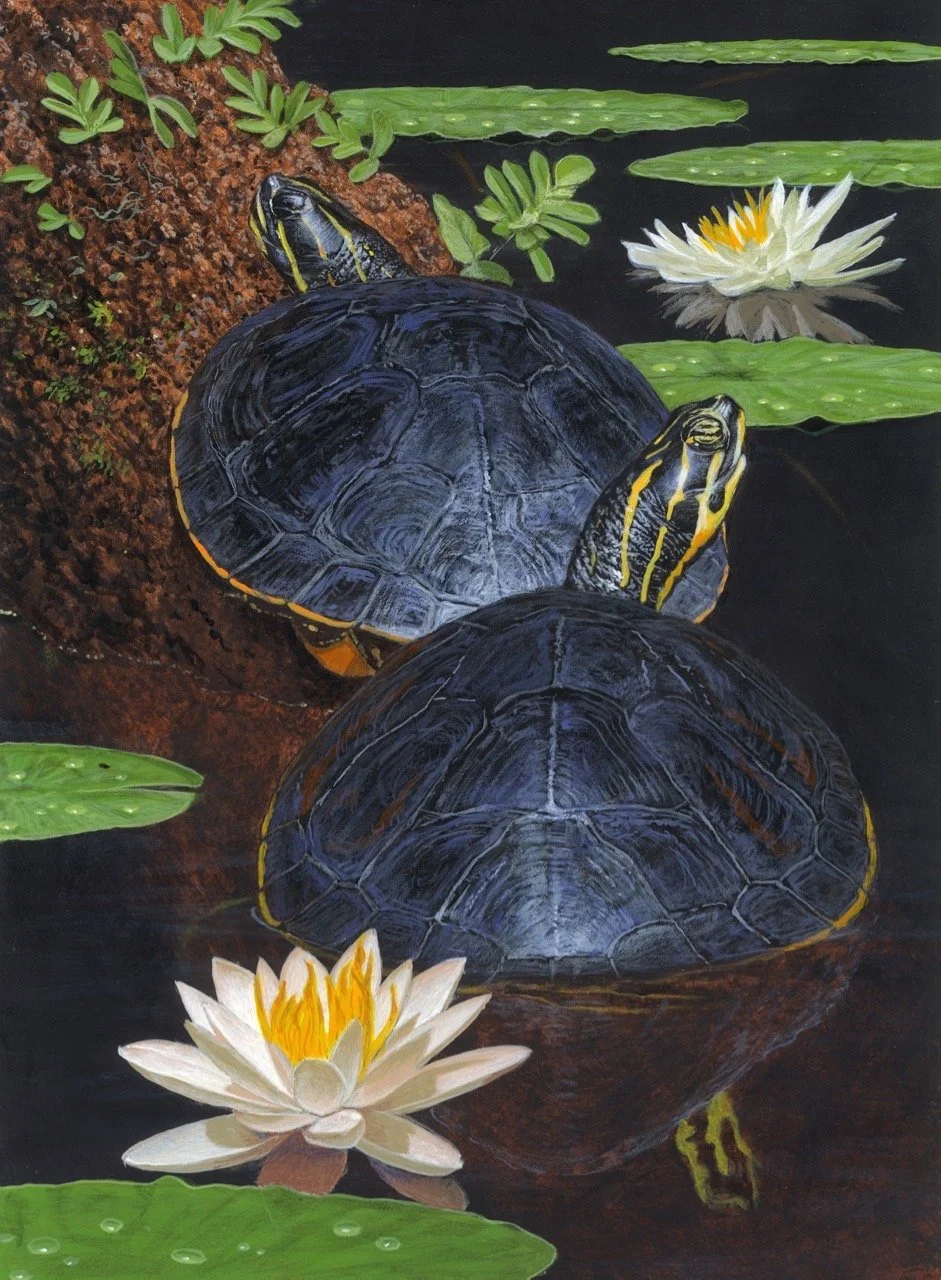 Gallery 3 — Tang Gallery