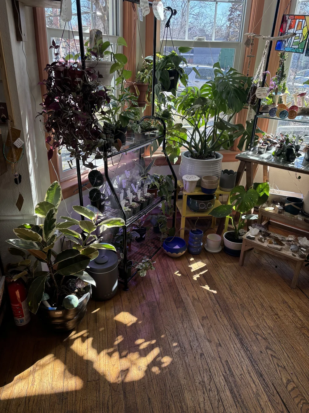 About — Sagebrush Collaborative