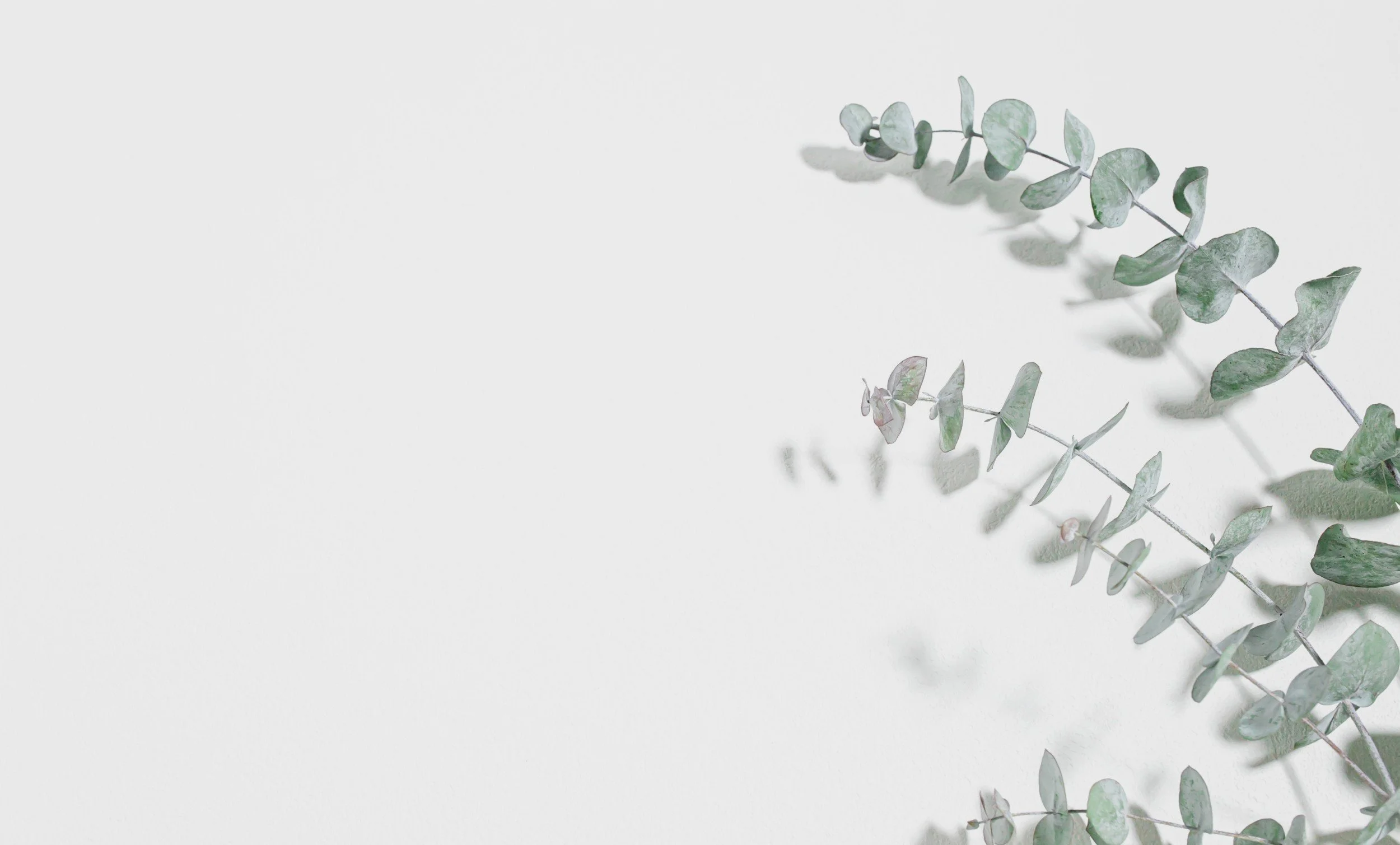 SOMATIC TRAUMA THERAPY — Jaree Basgall | Somatic Trauma Therapist ...