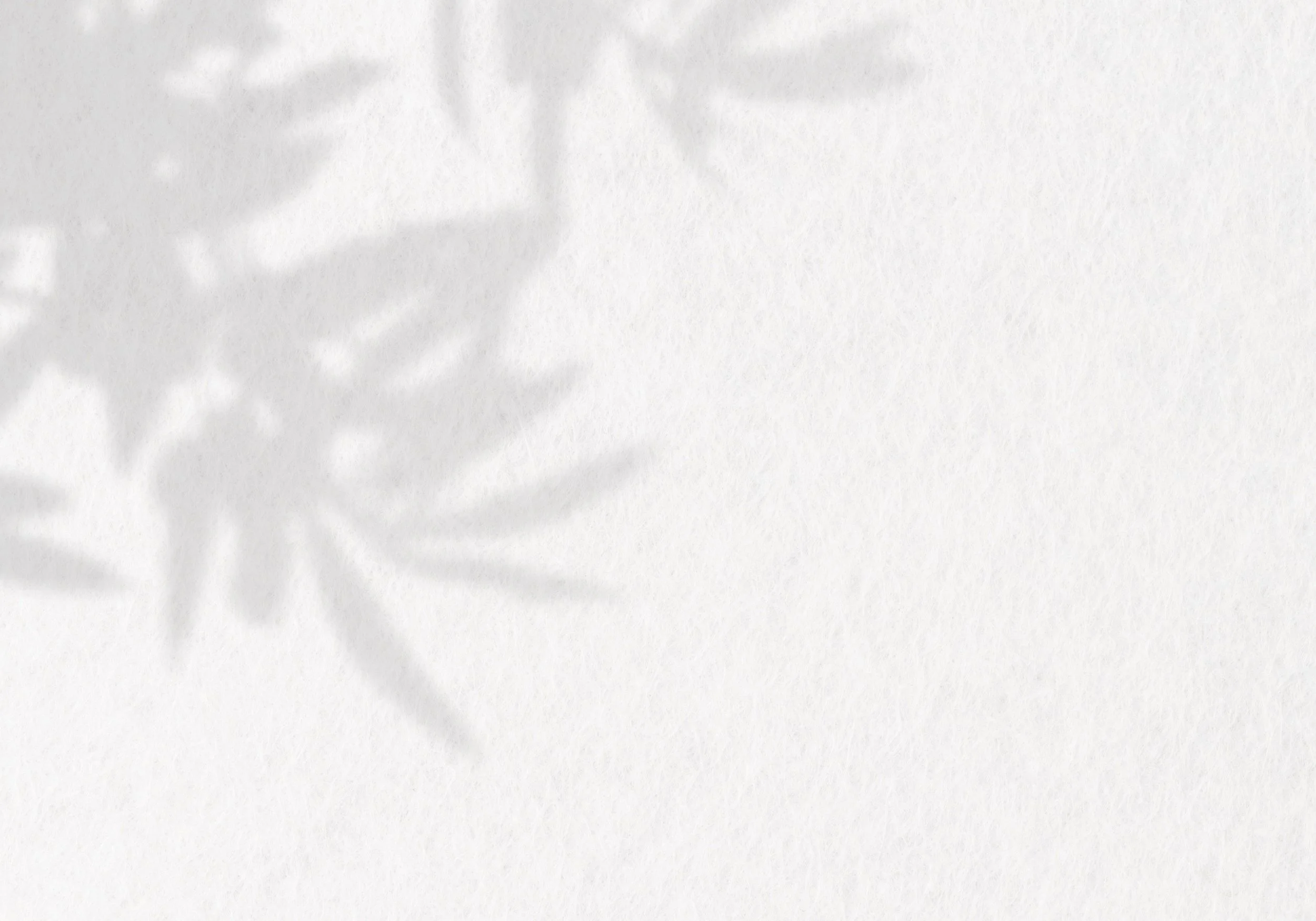 BE YOUR OWN HEALER — Jaree Basgall | Somatic Trauma Therapist | Kansas ...