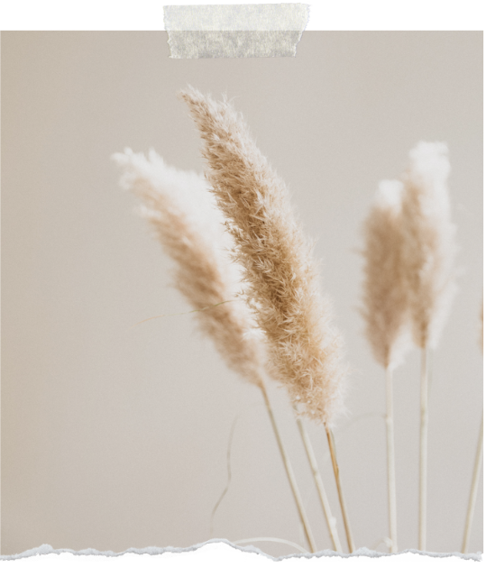 ABOUT — Jaree Basgall | Somatic Trauma Therapist | Kansas & Missouri