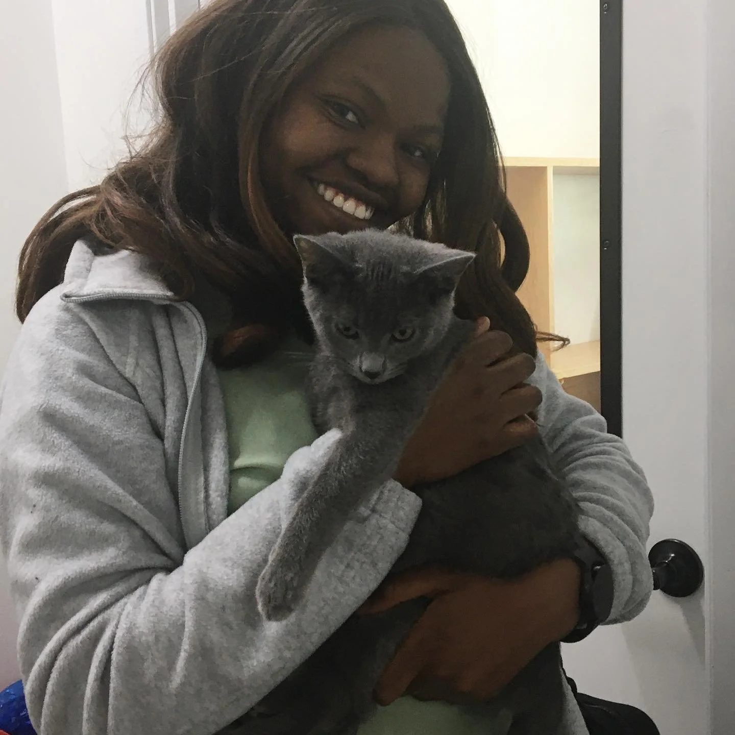 Our Impact — Felius Cat Cafe & Rescue