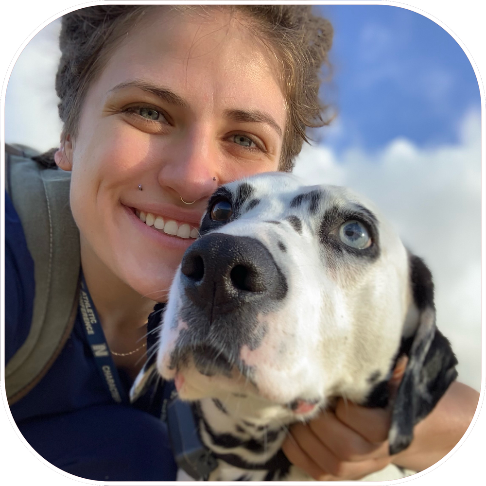 Meet The RVC Staff — Royle Veterinary Clinic