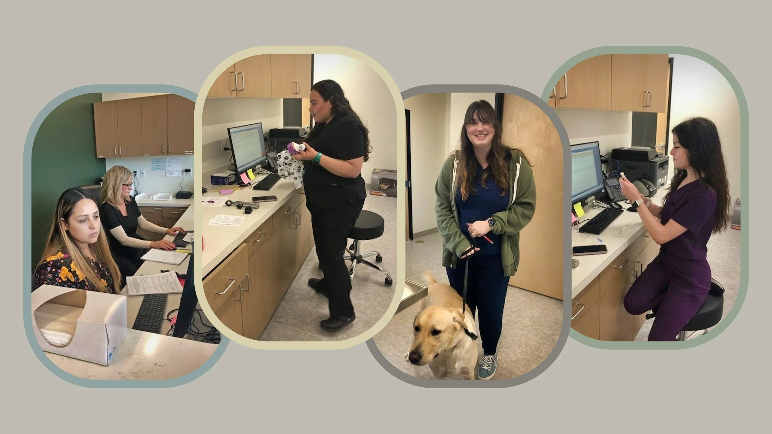 Meet The RVC Staff — Royle Veterinary Clinic