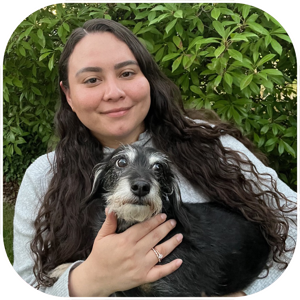 Meet The RVC Staff — Royle Veterinary Clinic