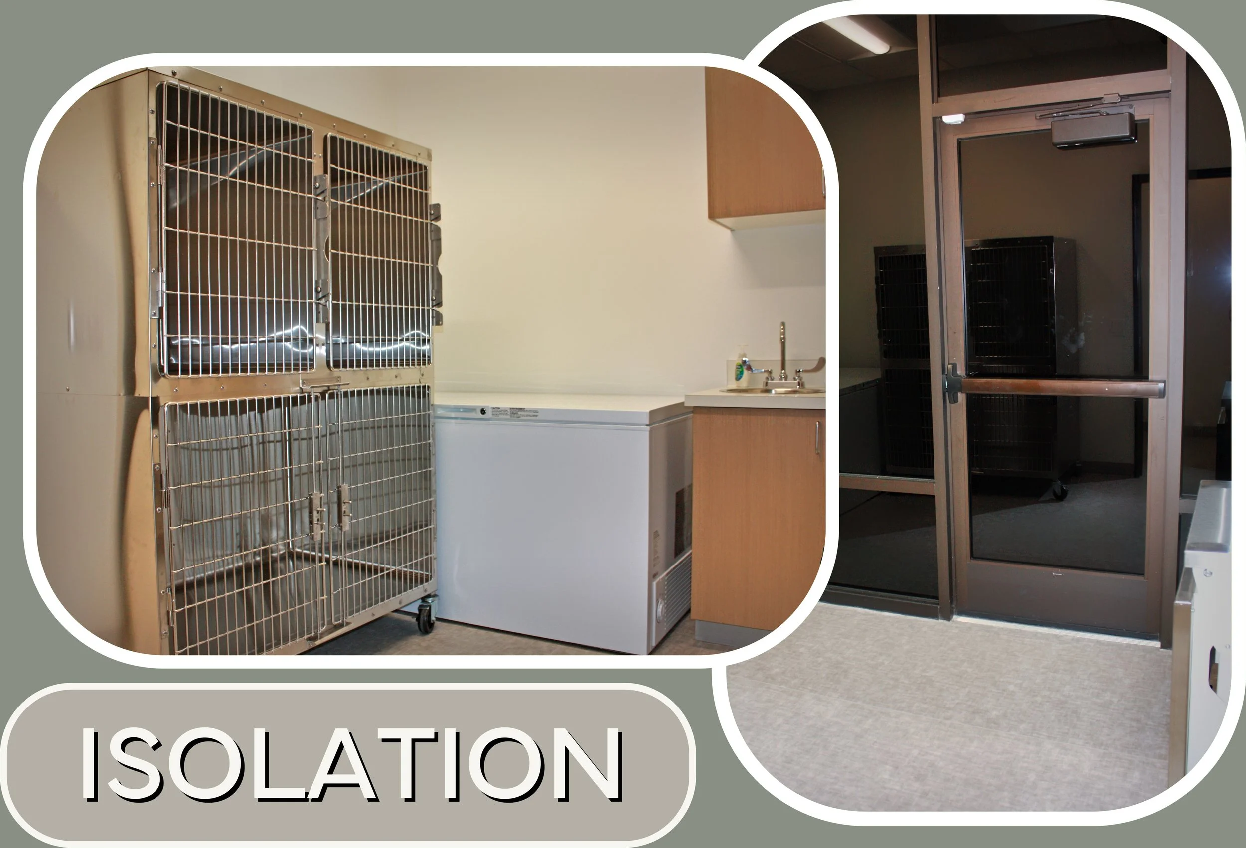 Clinic Tour — Royle Veterinary Clinic