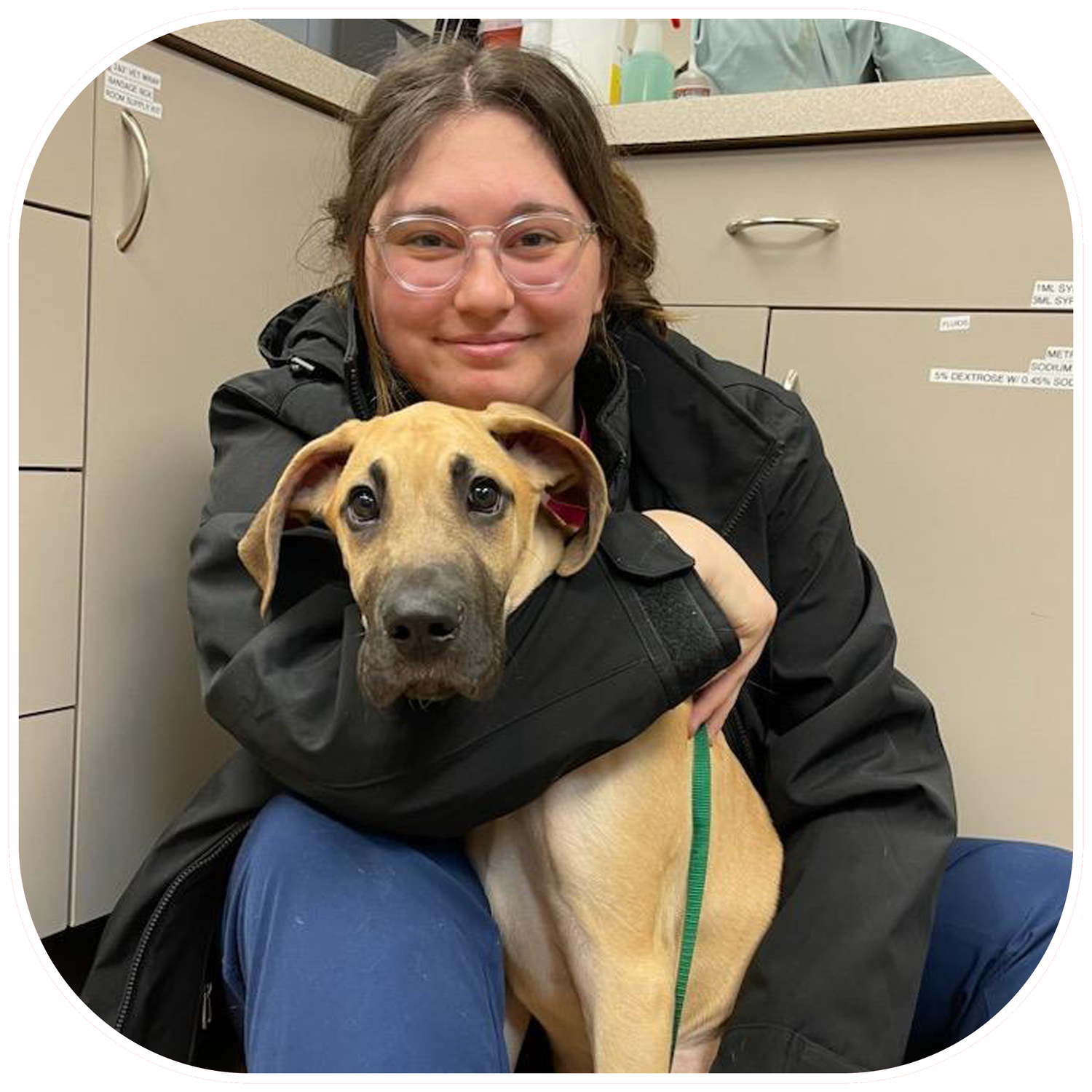 Meet The RVC Staff — Royle Veterinary Clinic