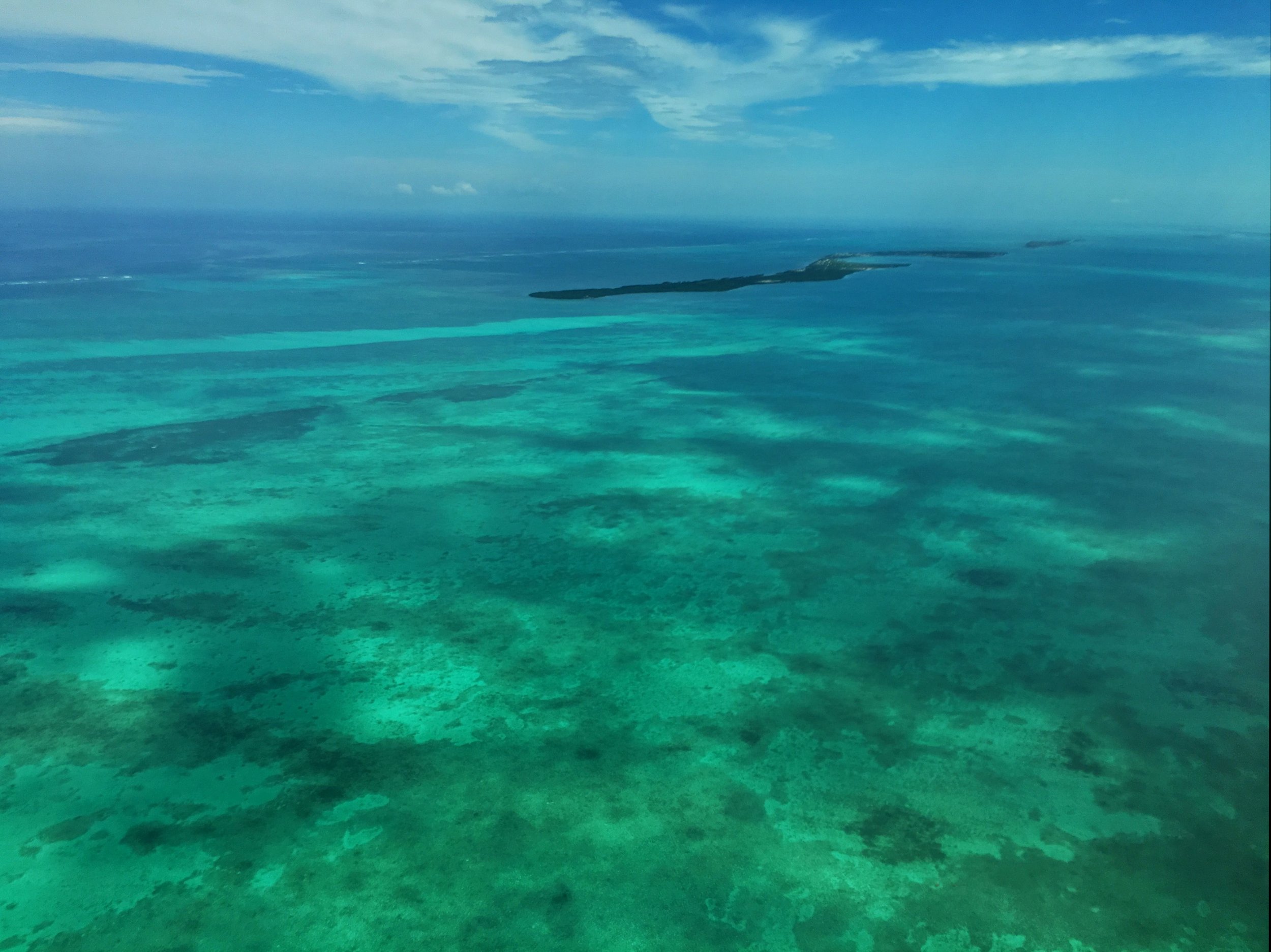 The Science of Coral Reefs — Ricochet Science