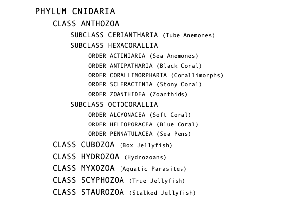 The Science of Corals — Ricochet Science