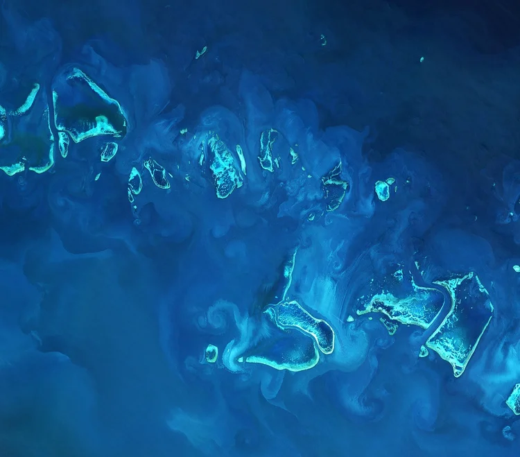 The Science of Coral Reefs — Ricochet Science