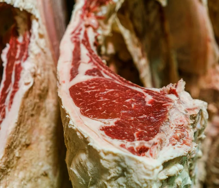 Nebraska Beef — TREX CORP INC.