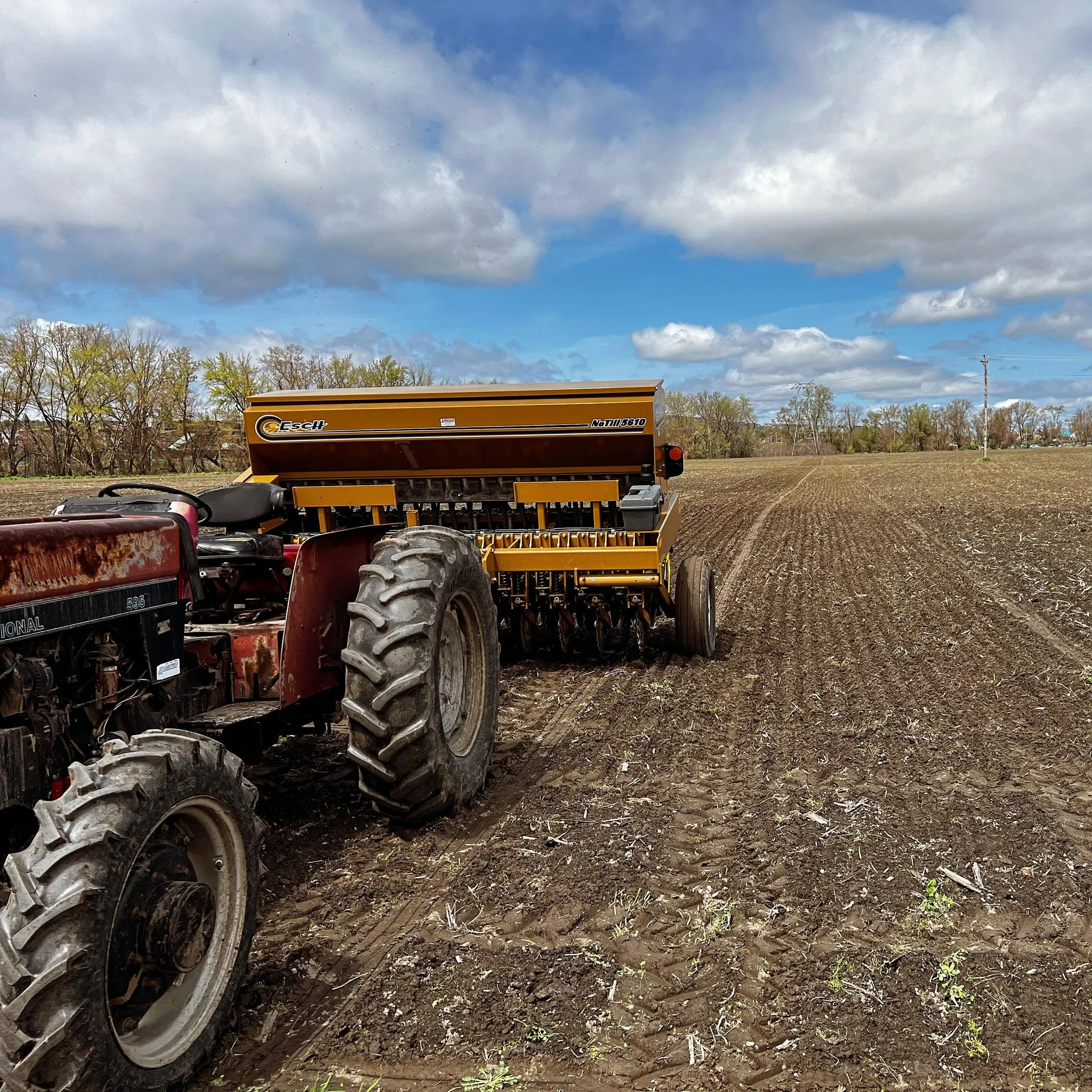 Sunfox Farm | Sunflower Oils | Herbals Tea | Herbs & Spices | Body Care ...