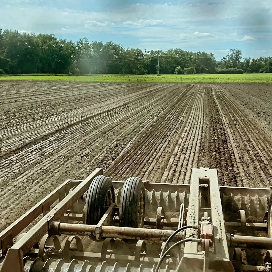 Sunfox Farm | Sunflower Oils | Herbals Tea | Herbs & Spices | Body Care ...