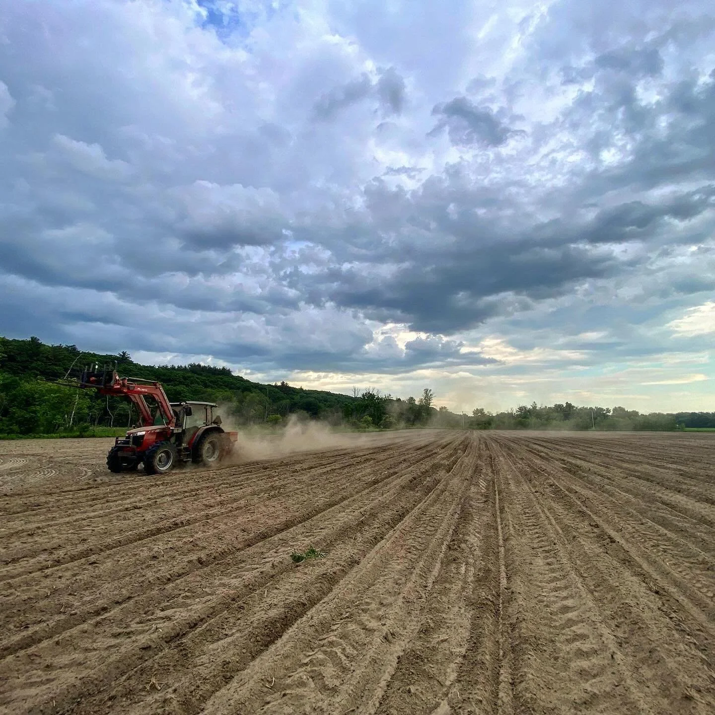 Sunfox Farm | Sunflower Oils | Herbals Tea | Herbs & Spices | Body Care ...