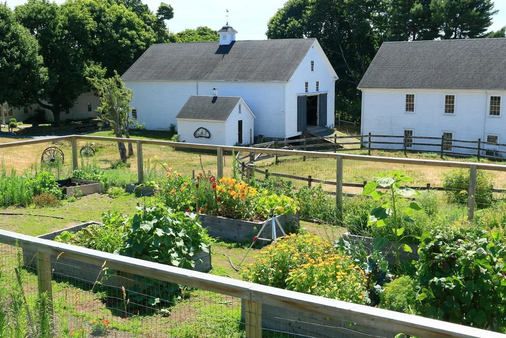 General 2 — Sunfox Farm