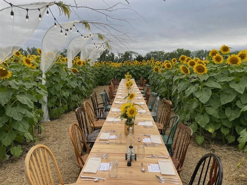 Sunflower Festival — Sunfox Farm
