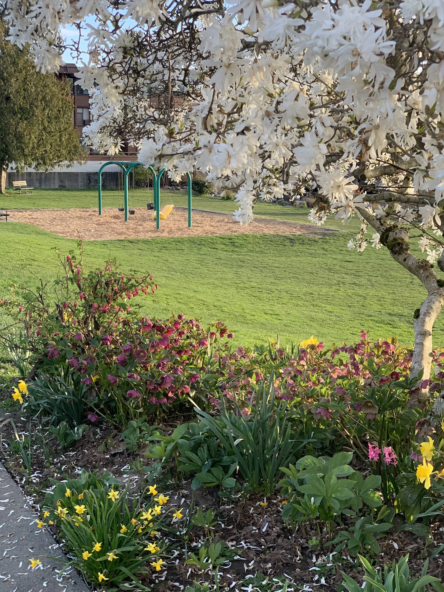 About — Friends of Madison Park
