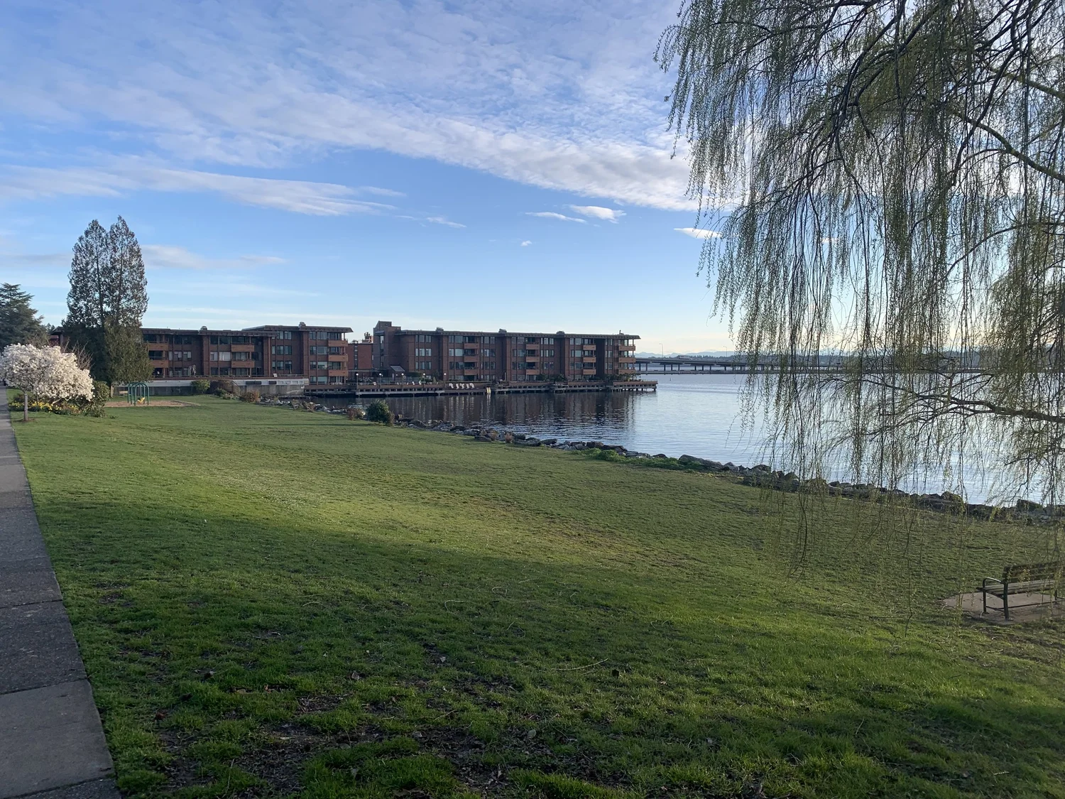 Friends of Madison Park