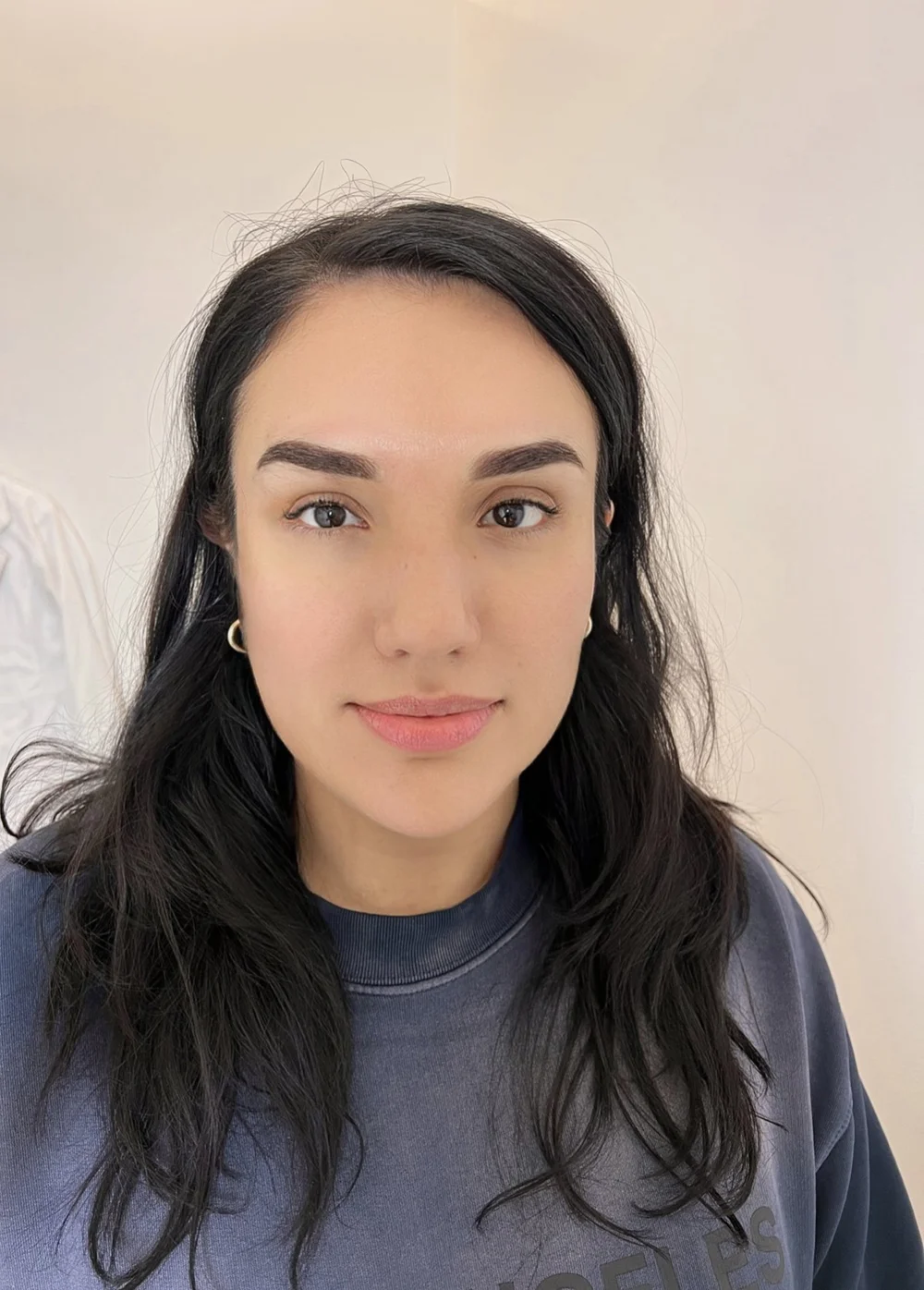 Eyebrow Treatments Brooklyn | Ombre Powder Nano Brows