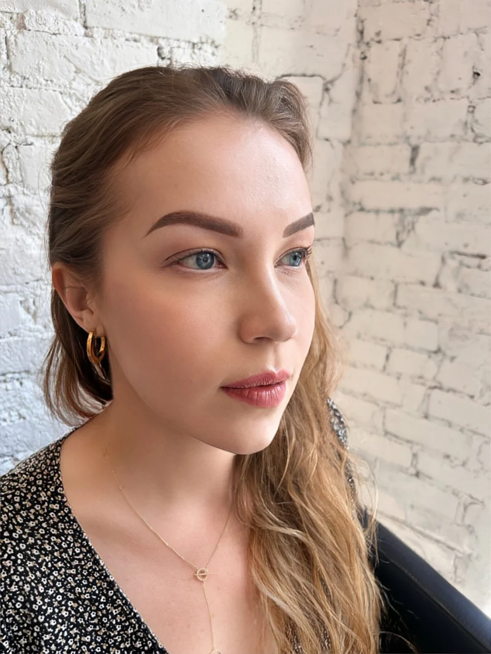 Eyebrow Treatments Brooklyn | Ombre Powder Nano Brows