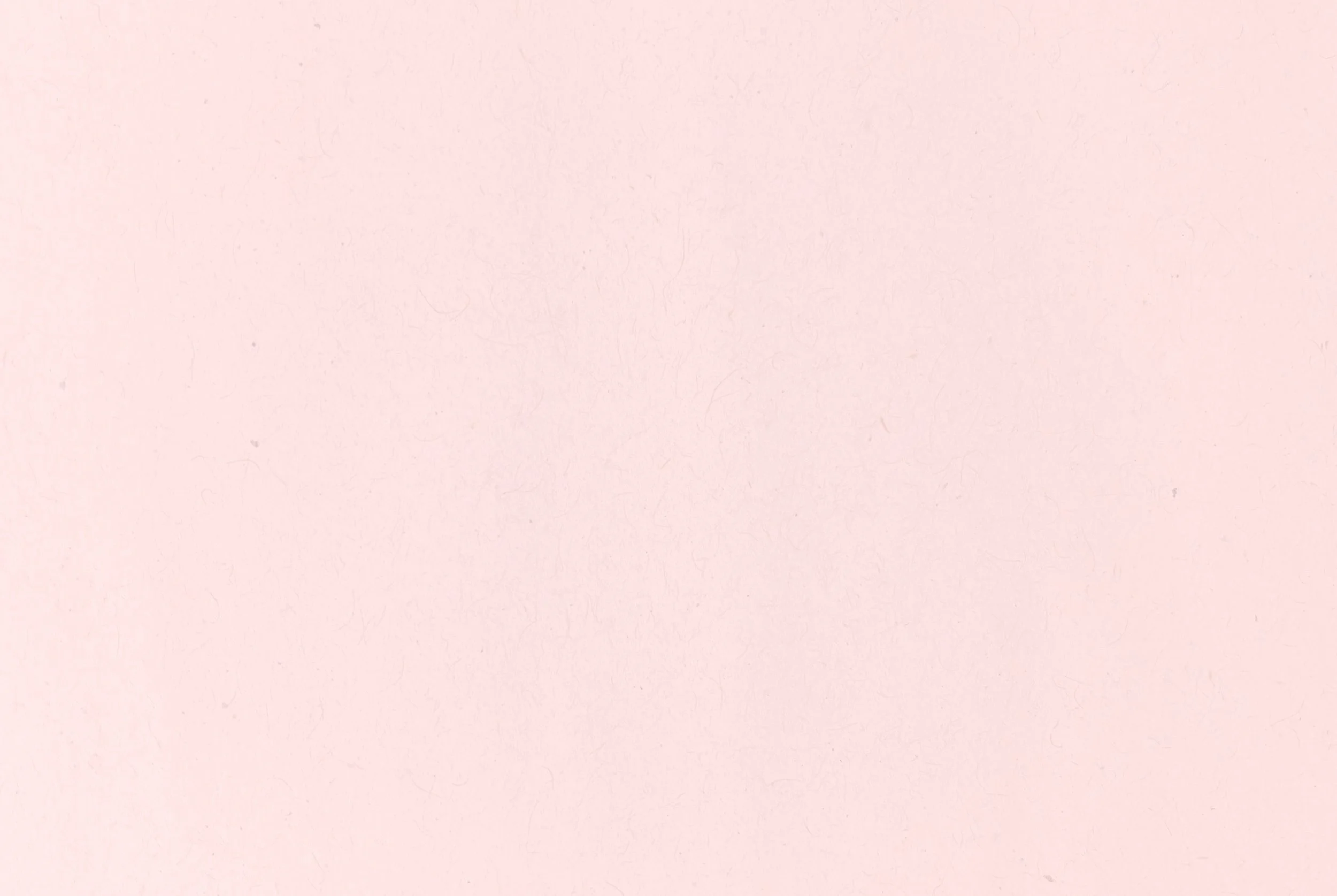 Scattered Seeds Craft Market