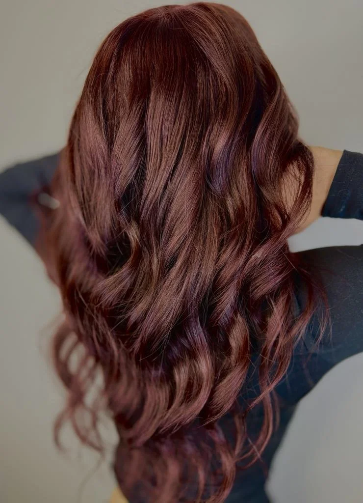 Pani Style Hair Salon | Balayage, Extensions & Hair Color in Katy, TX