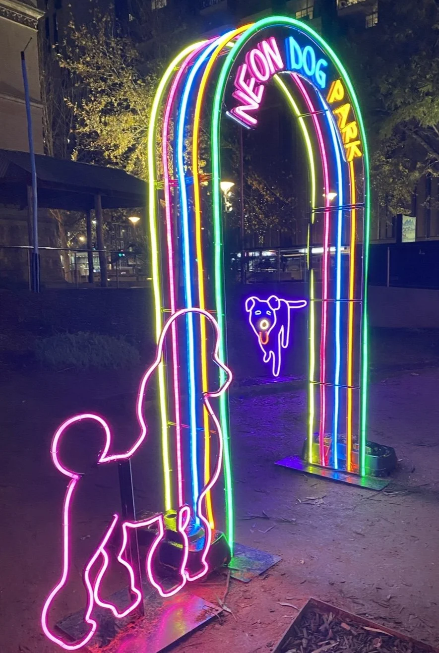 Neon Dog Park — Volter International