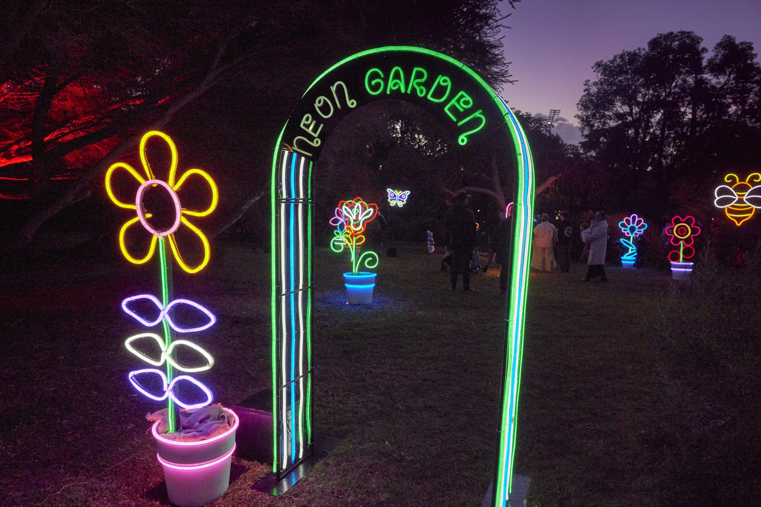 Illuminate Your Event with the Neon Garden Collection — Volter ...