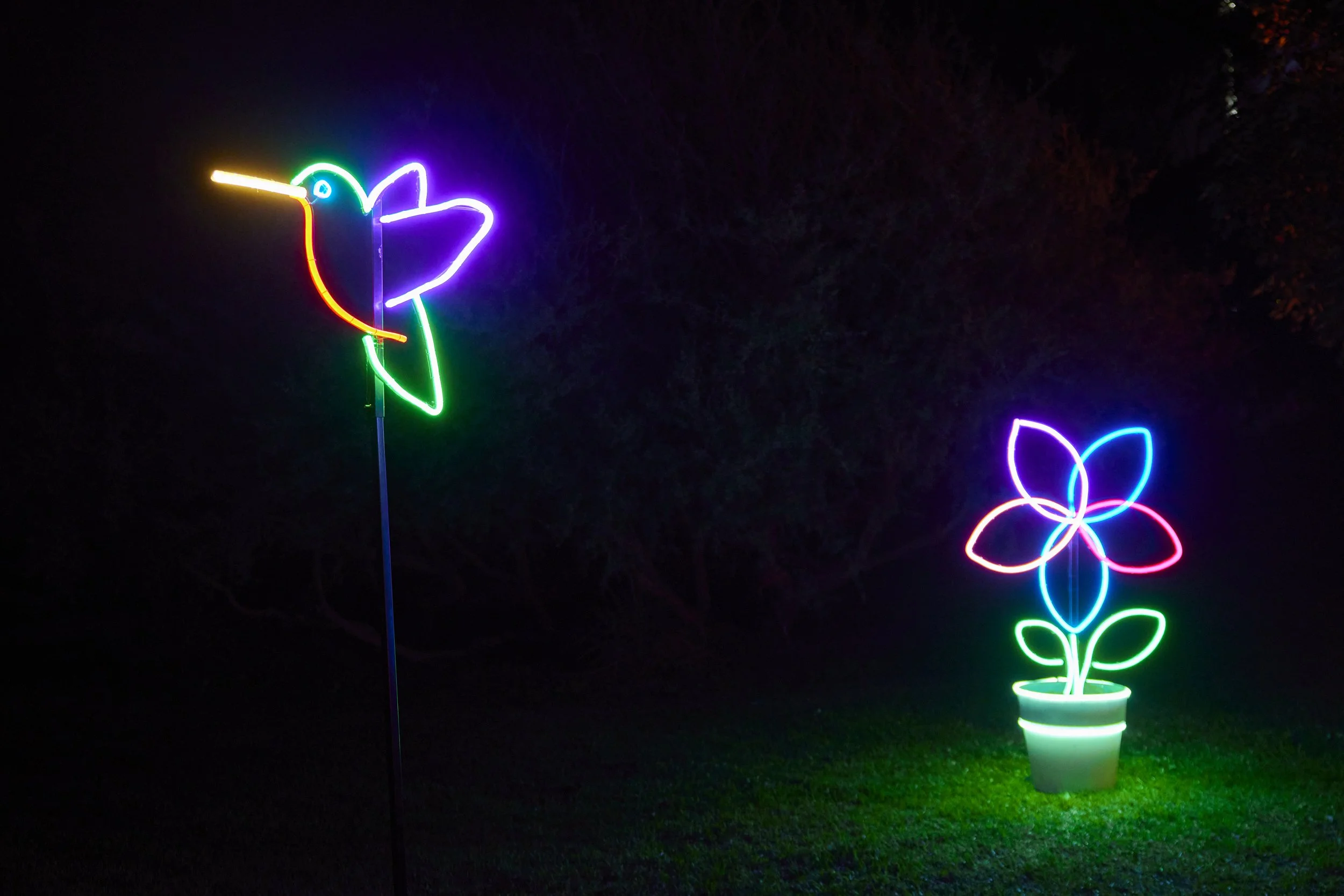 Neon Birds — Volter International