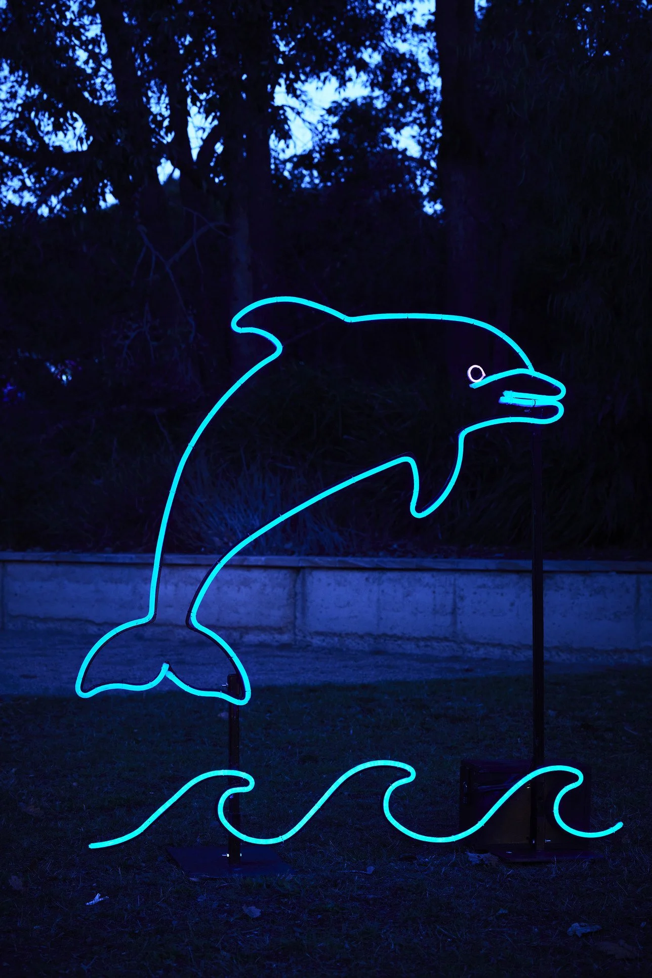 Neon Dolphin & Waves — Volter International